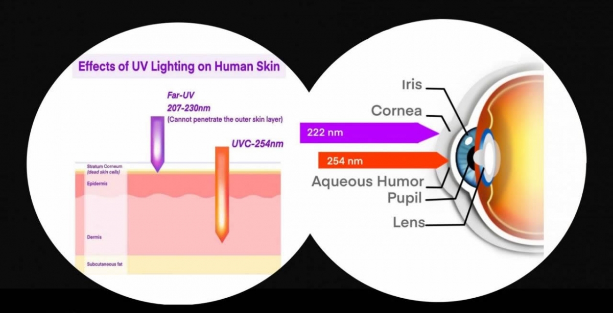 219nm Far-UVC LEDs and Filtered 222nm Far-UV Excimer Lamps Meet AP-UVGI ...
